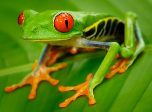 Trådløst skaper miljøkatastrofe 2 | Jeg har noe på hjertet